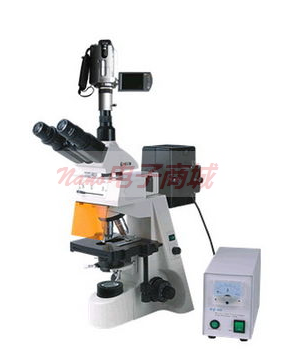 彼爱姆XSP-BM-2CE双目生物显微镜价格|型号 _实验室专业仪器原理_ Nano电子商城